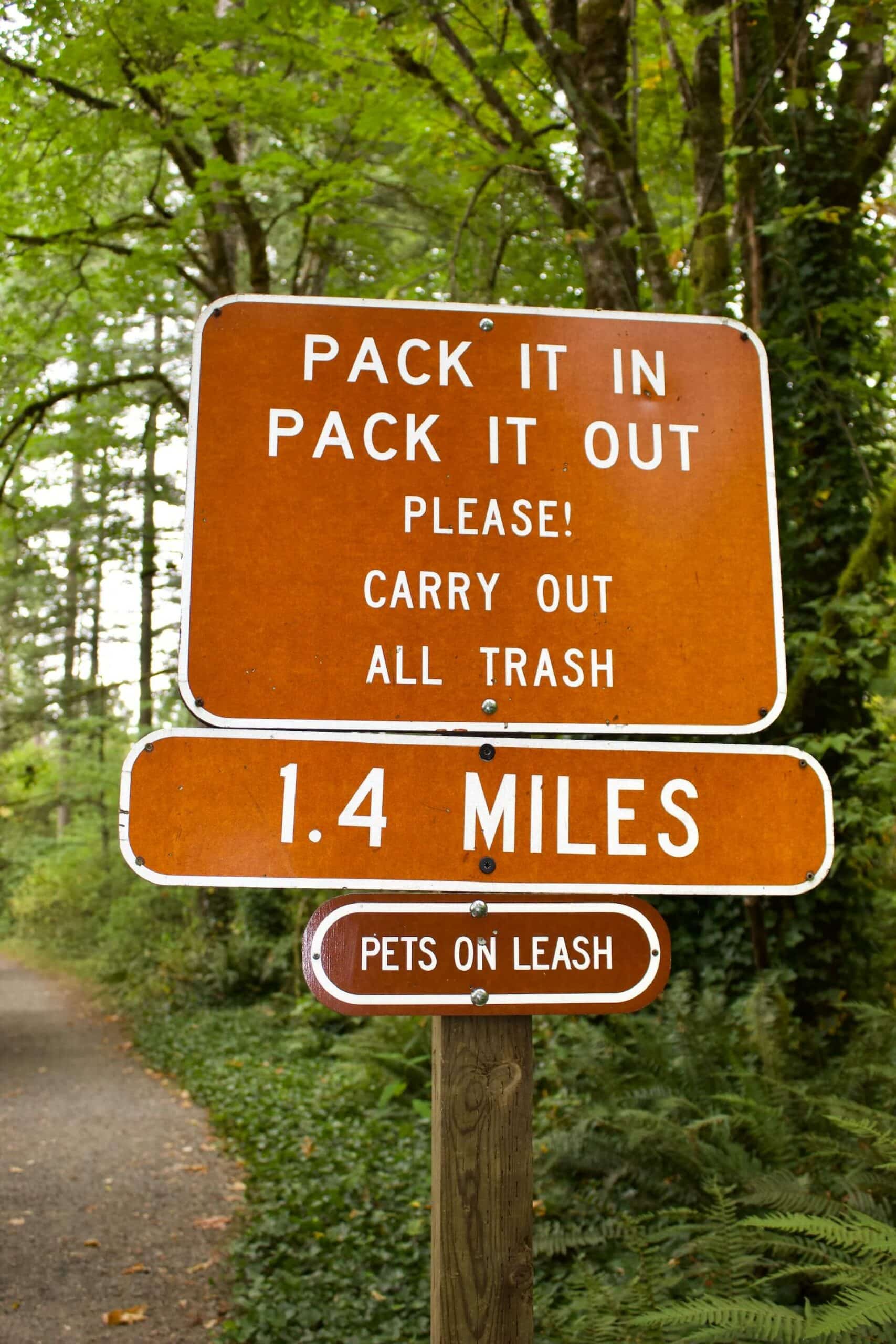 Camper Van Life In California: EVERYTHING You Need To Know | Buy Or ...